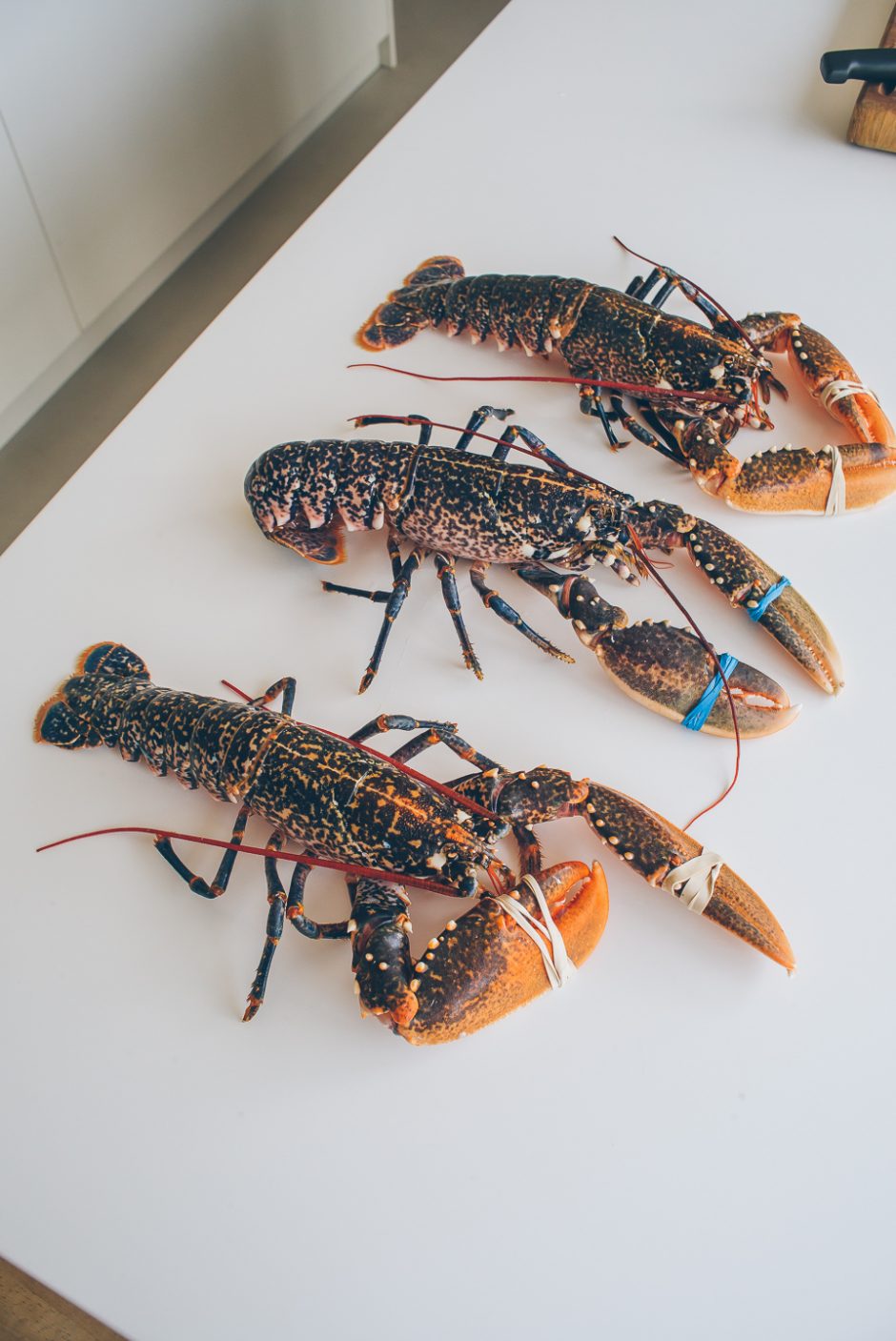 ScrambledKang – Native lobster season 2018 – London Eater